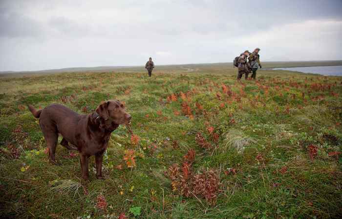 PathAway GPS Outdoor Navigation